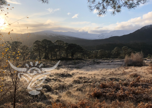 The Wilderculture Principles – Wilderculture